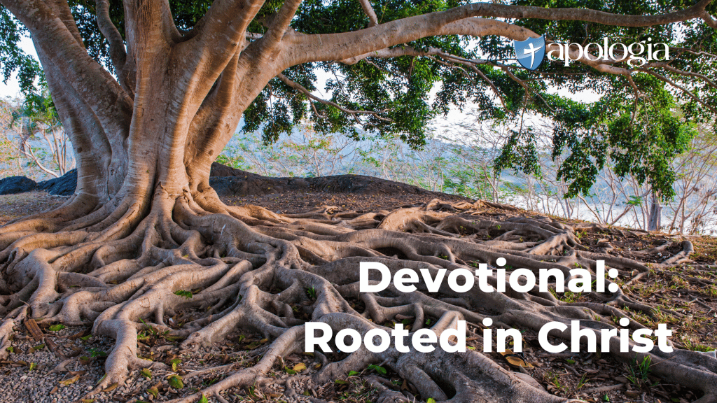 Devotional: Rooted in Christ - Apologia