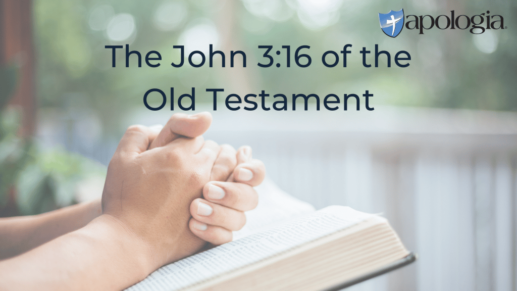 John 3 16