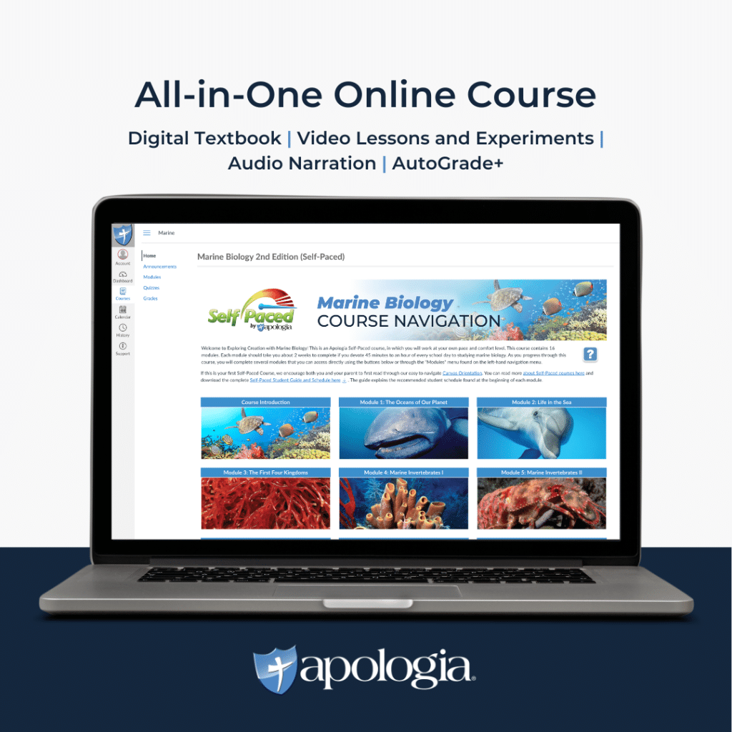 Self-Paced Online: Marine Biology - Apologia