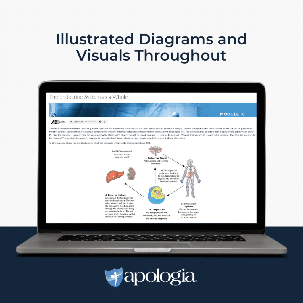 Self-Paced Online: Advanced Biology - Apologia