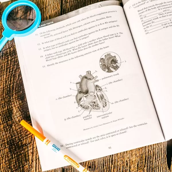 Advanced Biology Solutions Manual + Tests - Apologia