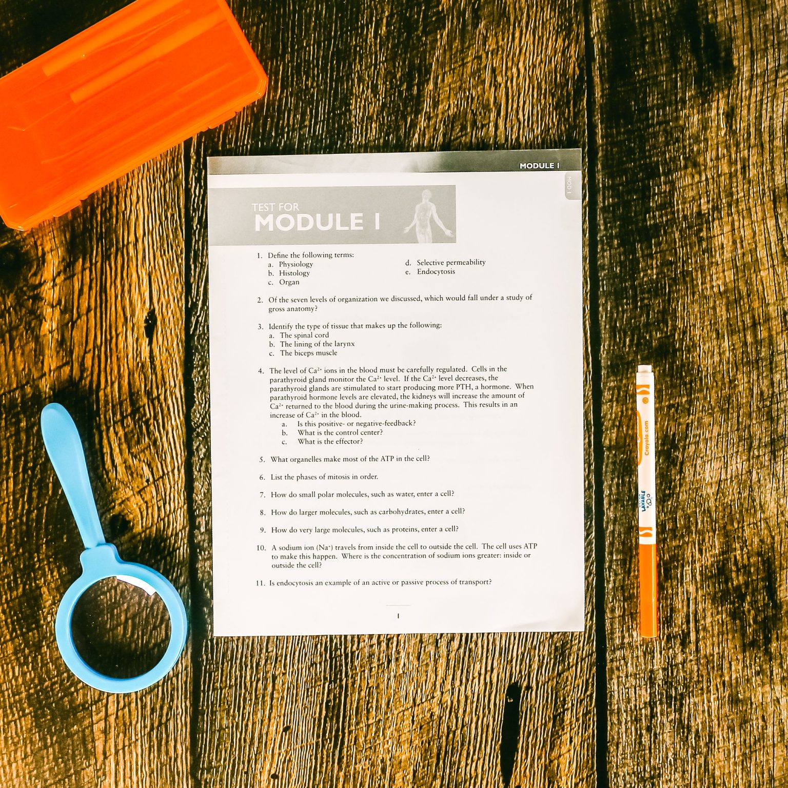 High School Advanced Biology Homeschool Curriculum - Apologia