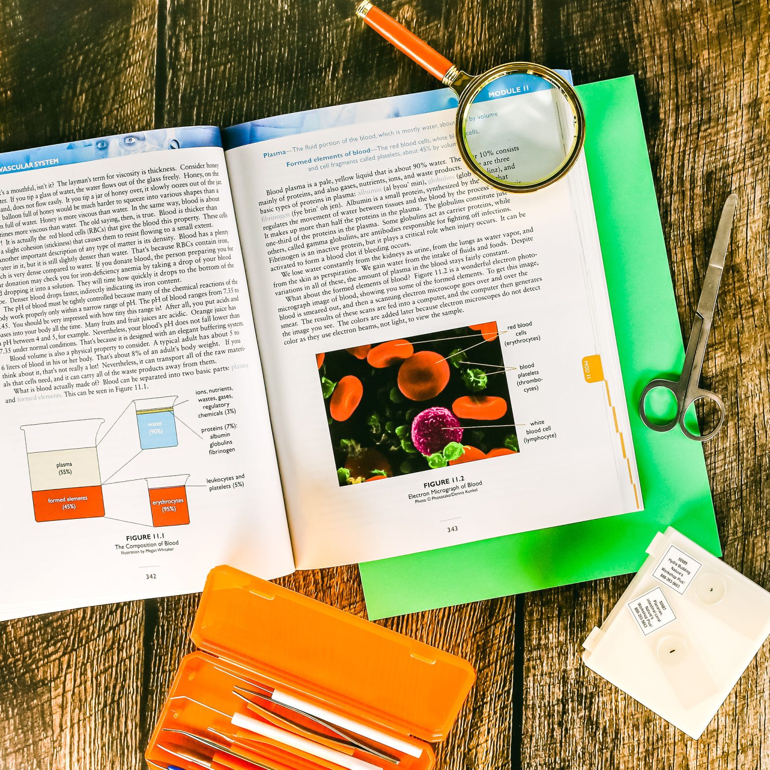 Advanced Biology Textbook - Apologia