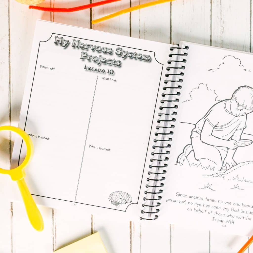 Anatomy Junior Notebooking Journal - Apologia