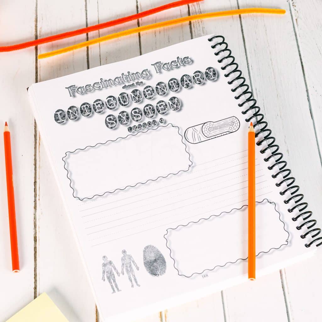 Anatomy Junior Notebooking Journal - Apologia