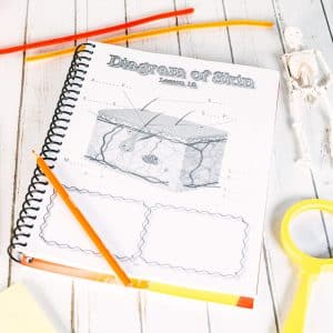 Anatomy Junior Notebooking Journal - Apologia