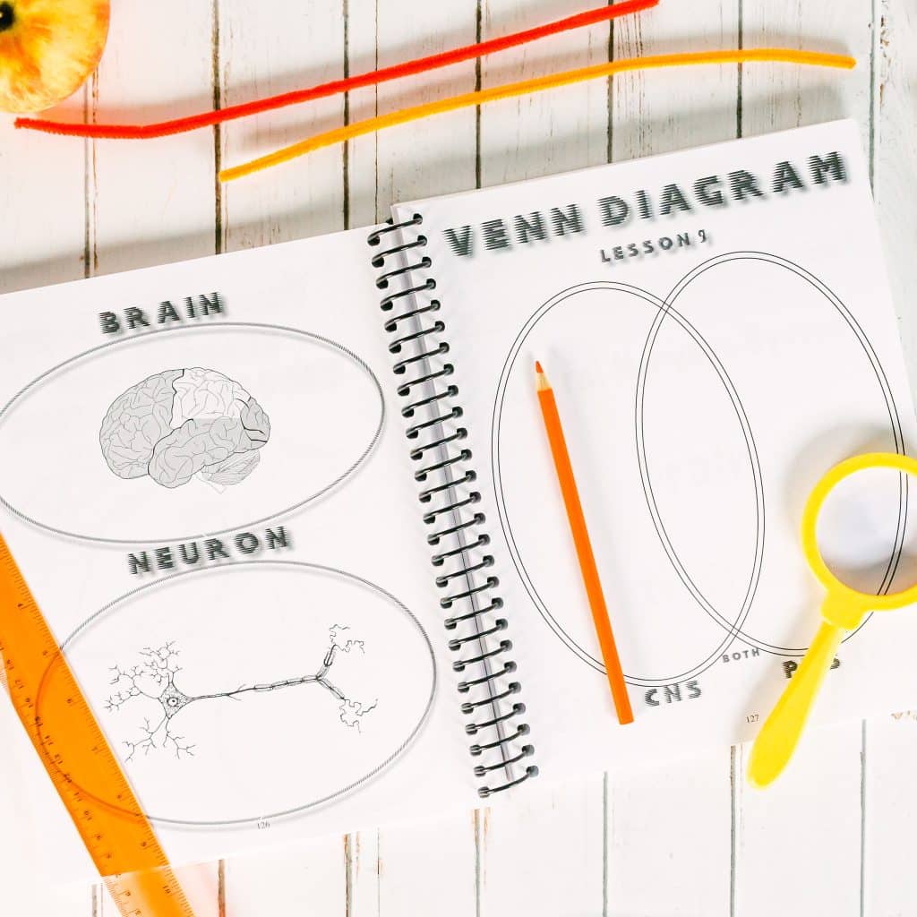 Anatomy Junior Notebooking Journal - Apologia