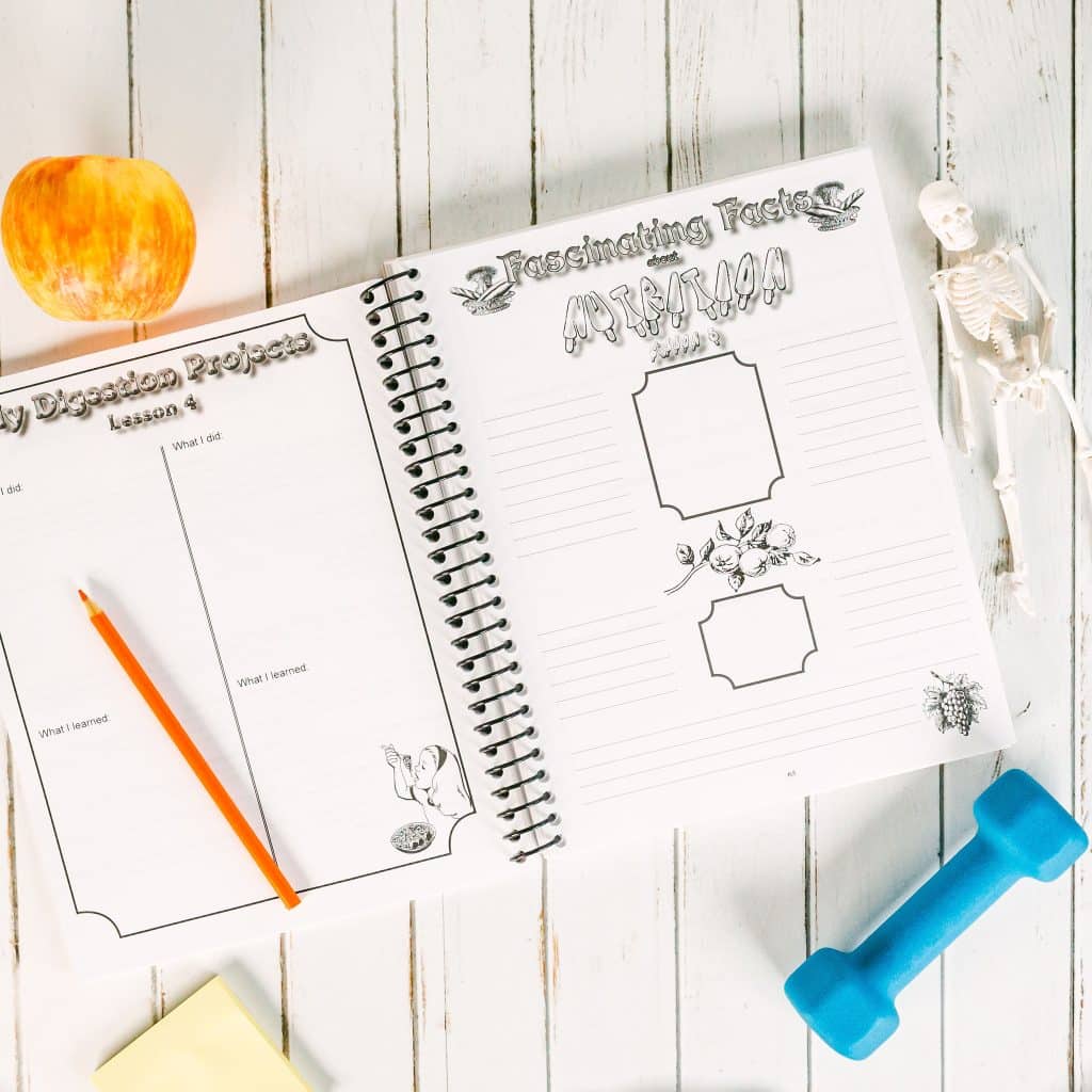 Anatomy Notebooking Journal - Apologia