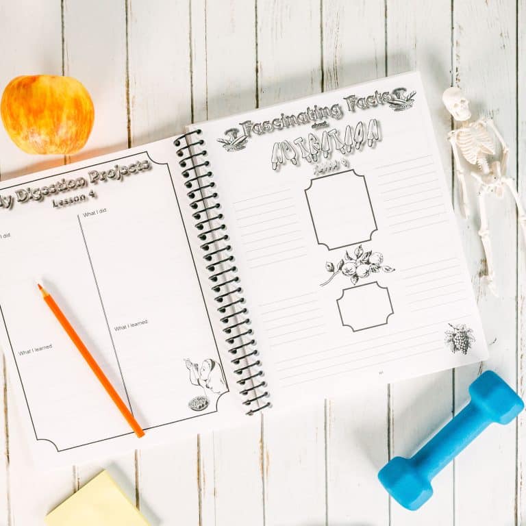 Anatomy Notebooking Journal - Apologia