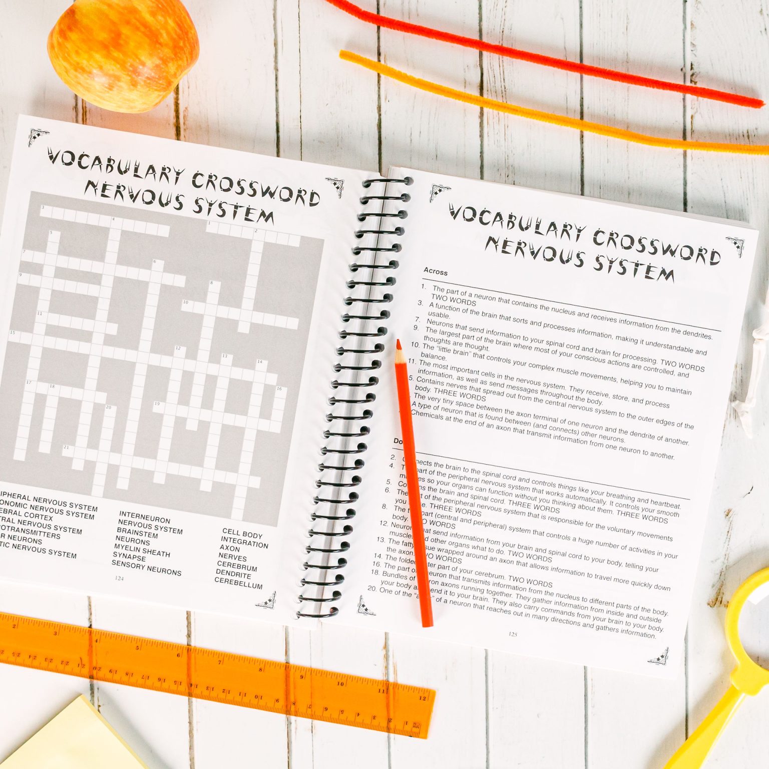 Anatomy Notebooking Journal - Apologia