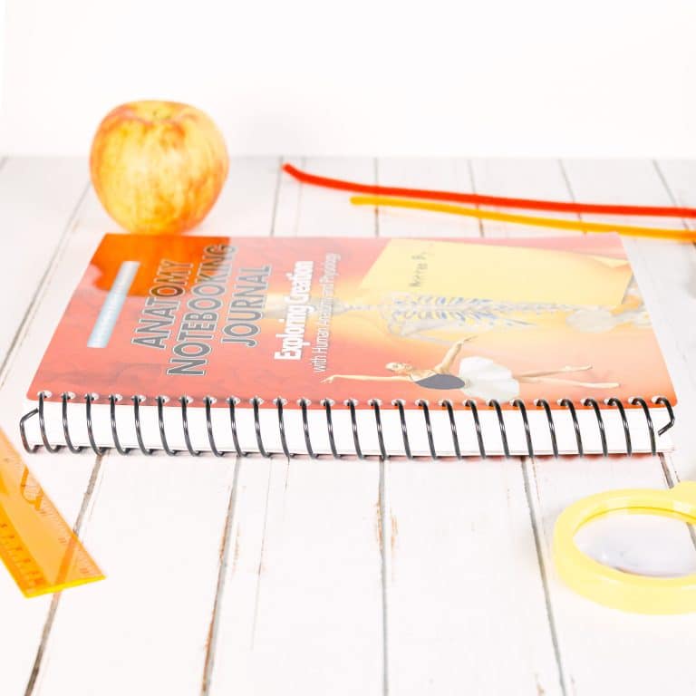 Anatomy Notebooking Journal - Apologia