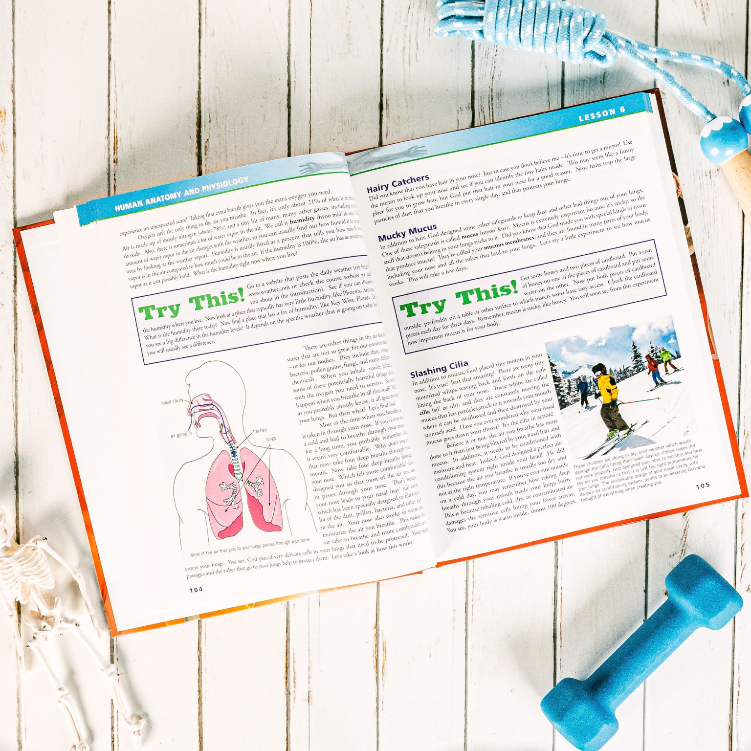 Anatomy Textbook - Apologia