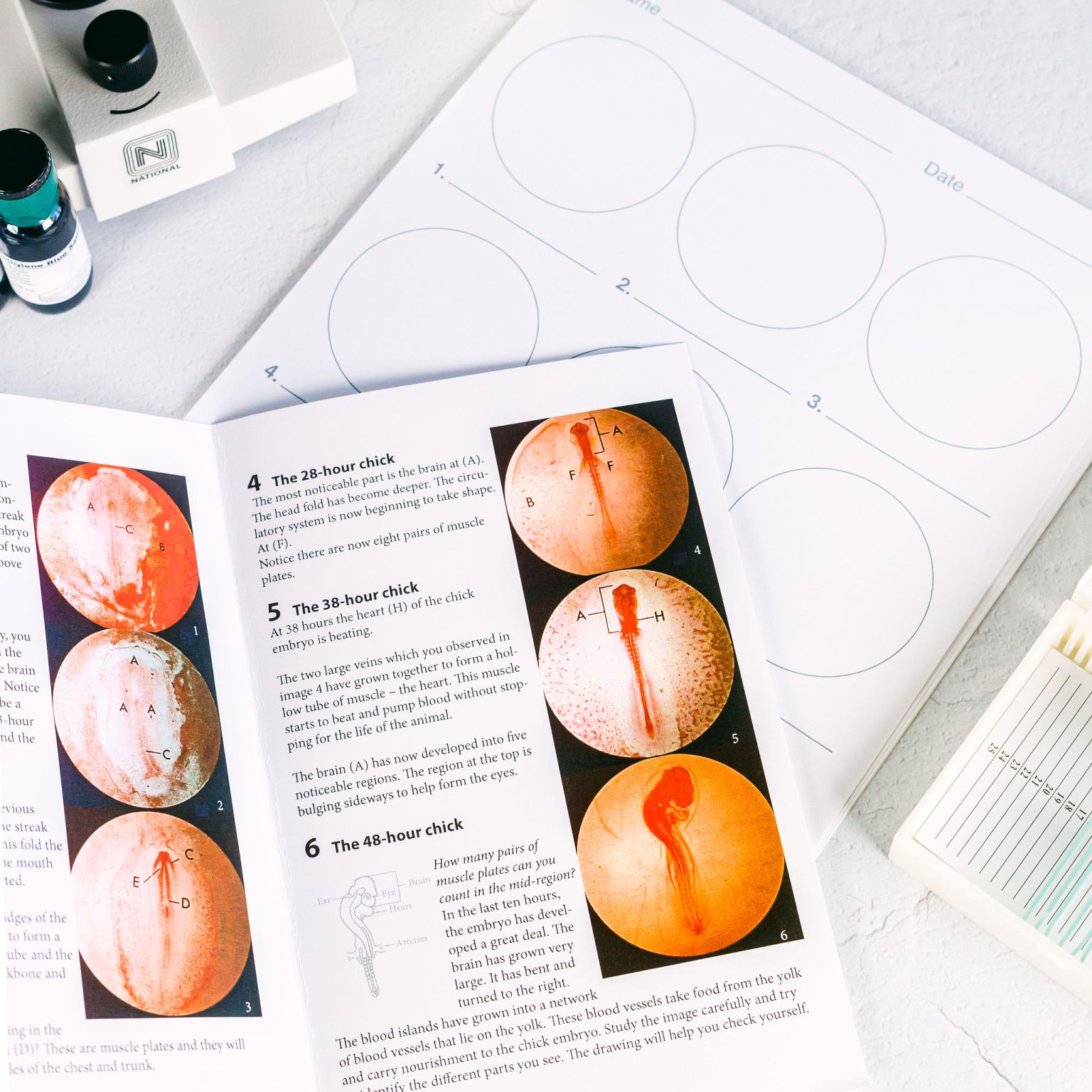 Biology Complete Slide Set - Apologia
