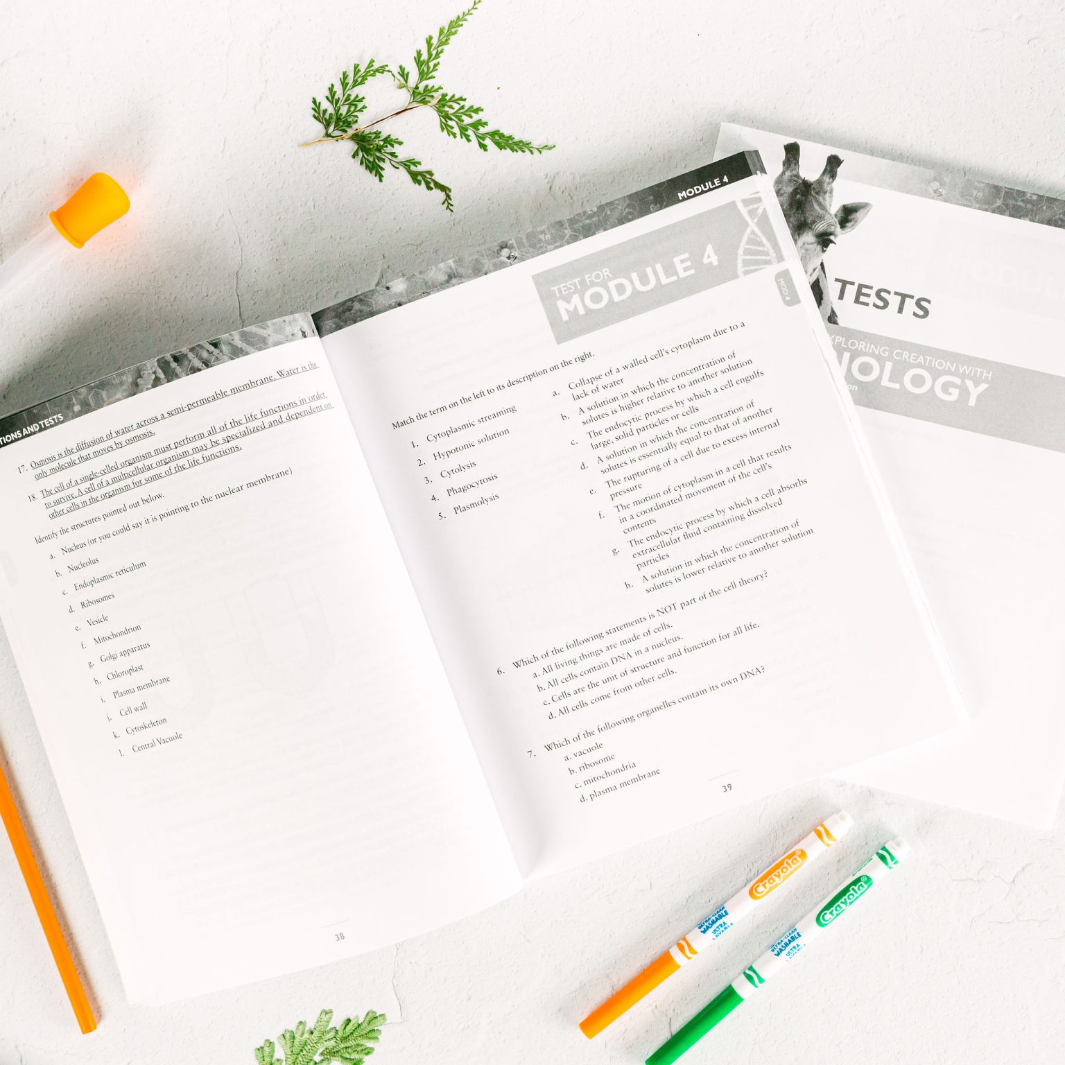 Biology Solutions Manual + Tests - Apologia