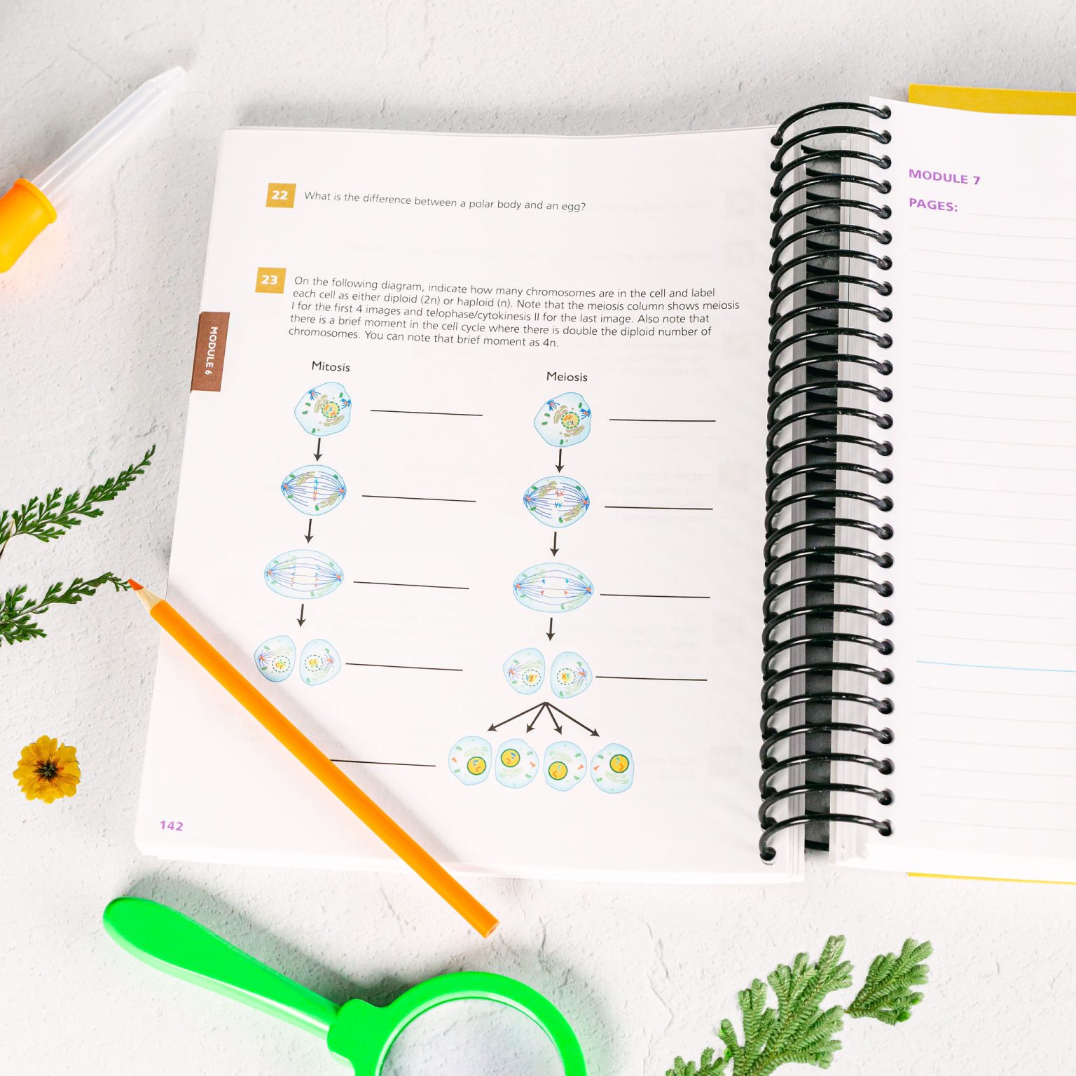 Biology Student Notebook - Apologia