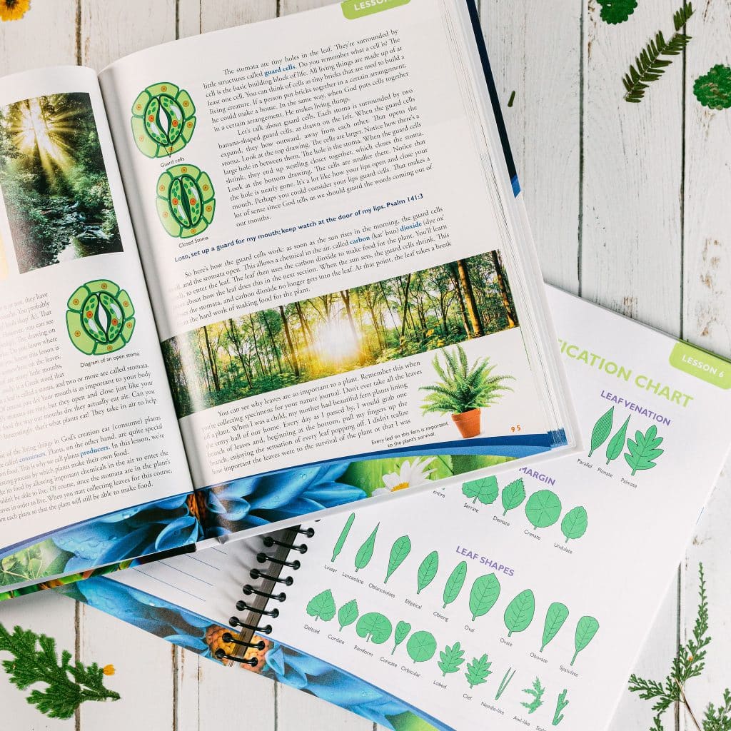 Botany Build-Your-Own Set - Apologia