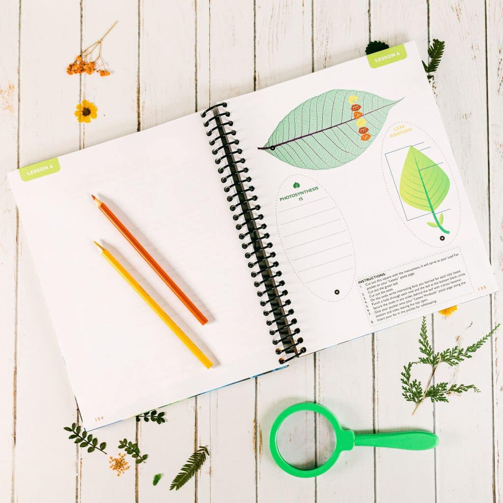 Botany Notebooking Journal - Apologia