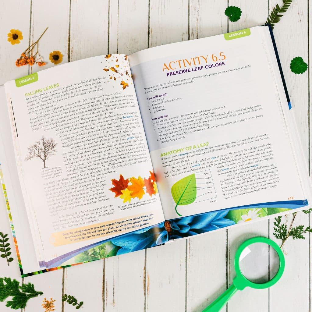 Botany Textbook - Apologia