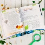 Botany Textbook - Apologia