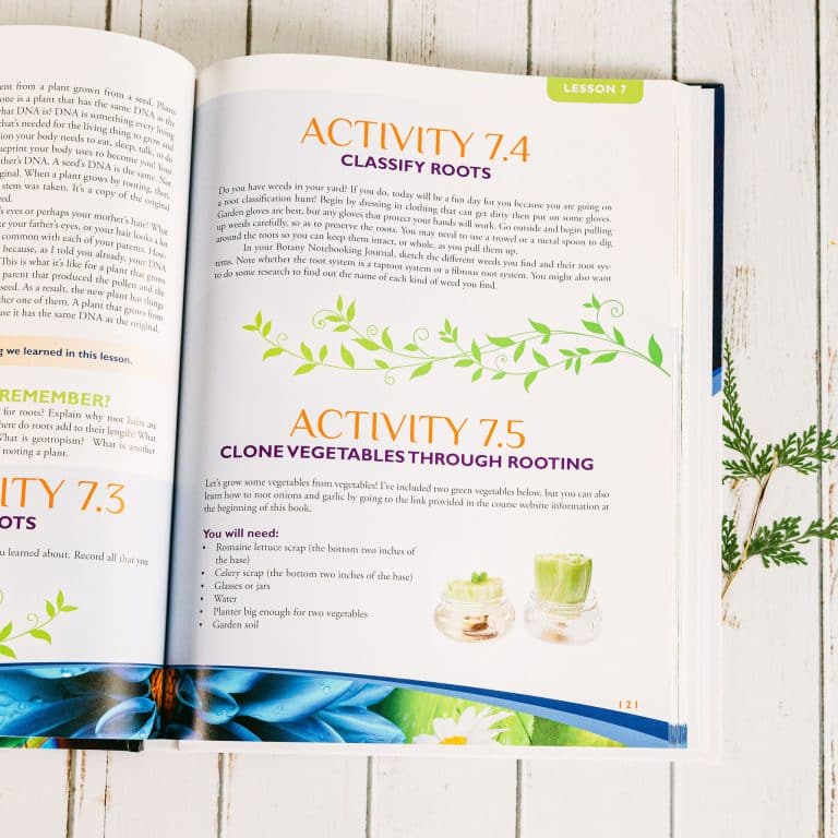 Botany Textbook - Apologia