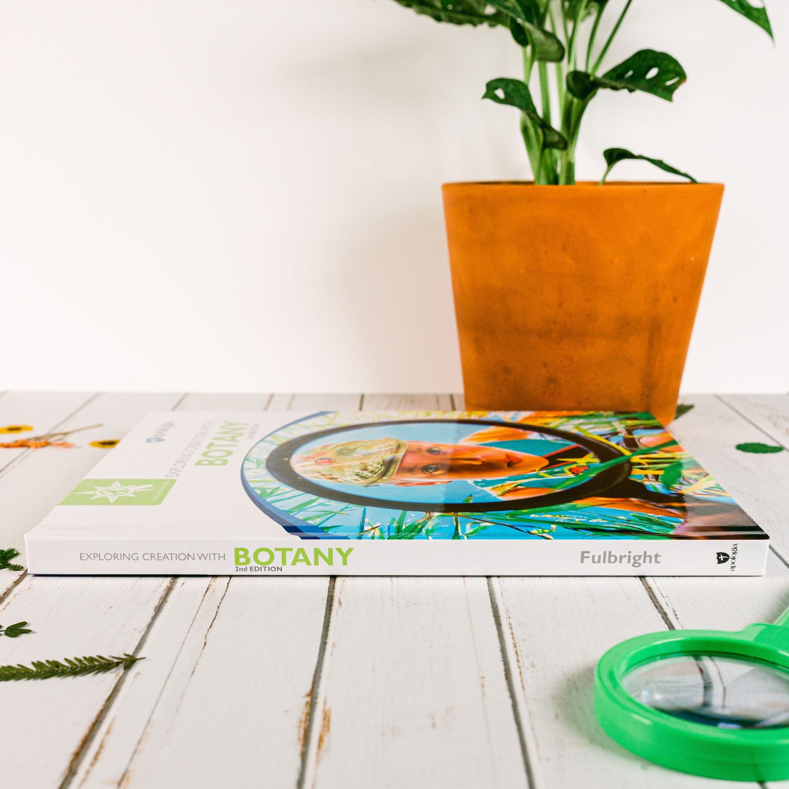 Botany Textbook - Apologia