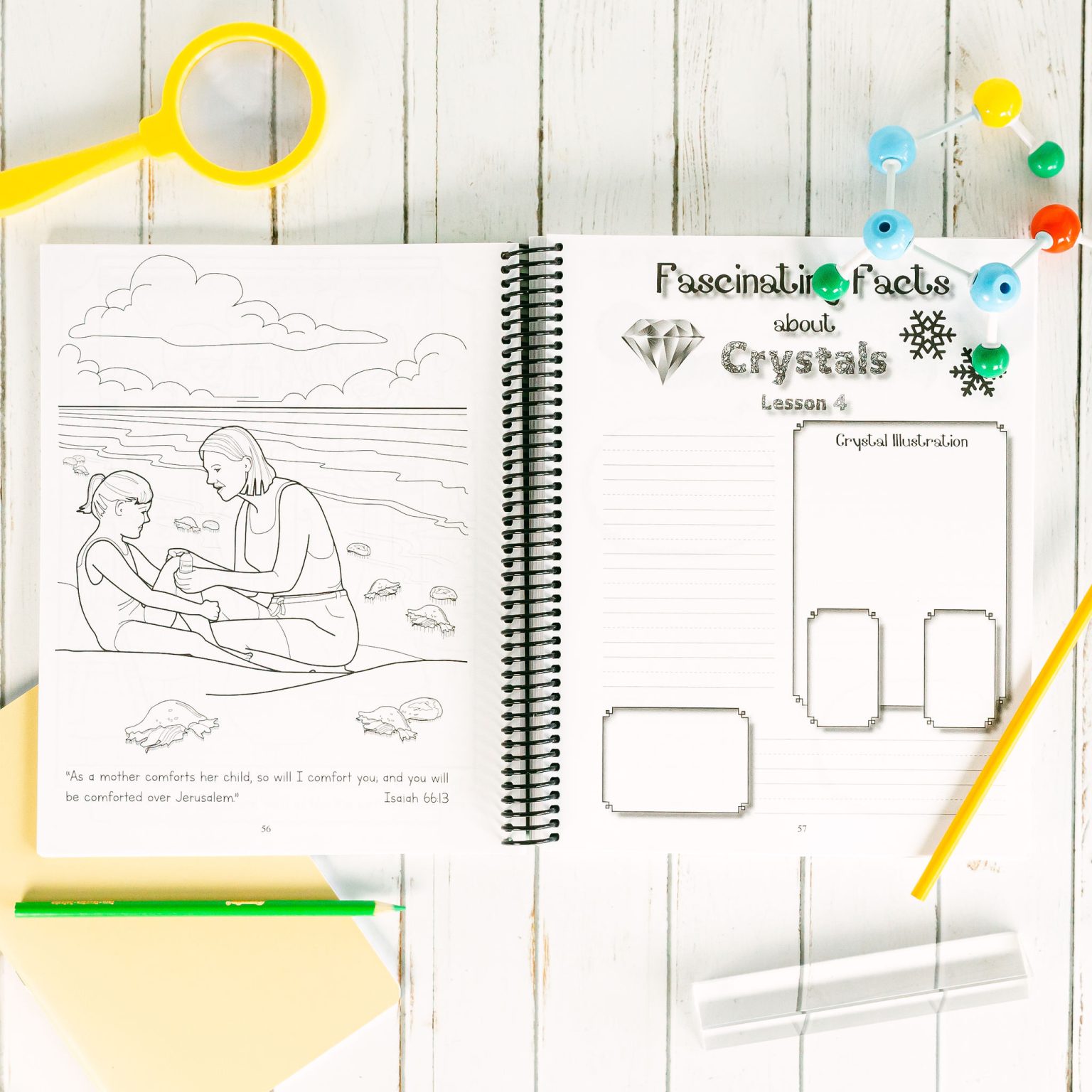 Chemistry and Physics Junior Notebooking Journal - Apologia