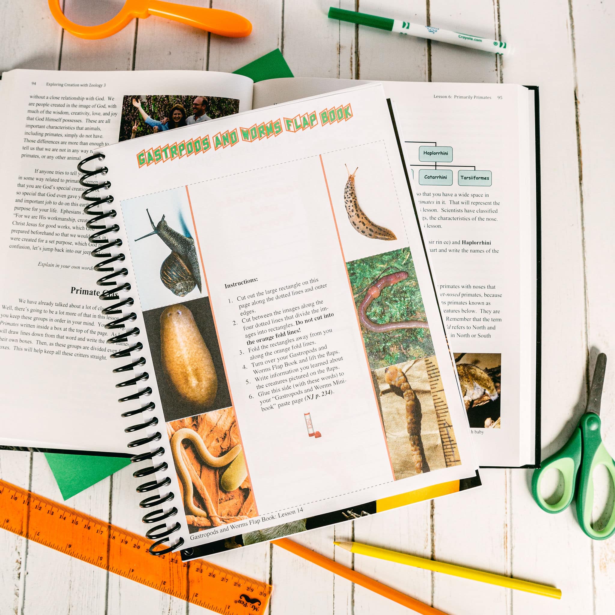 Zoology 3 Course Set - Apologia