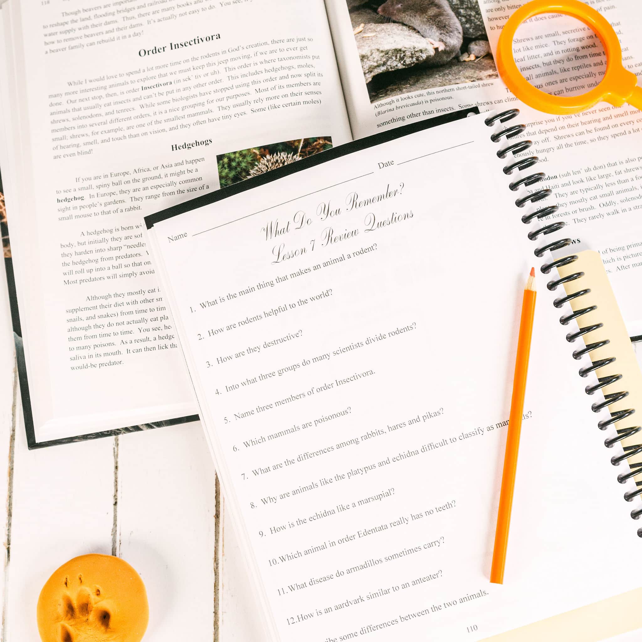 Zoology 3 Course Set - Apologia