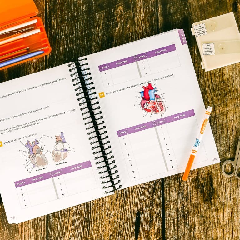 Advanced Biology Student Notebook - Apologia