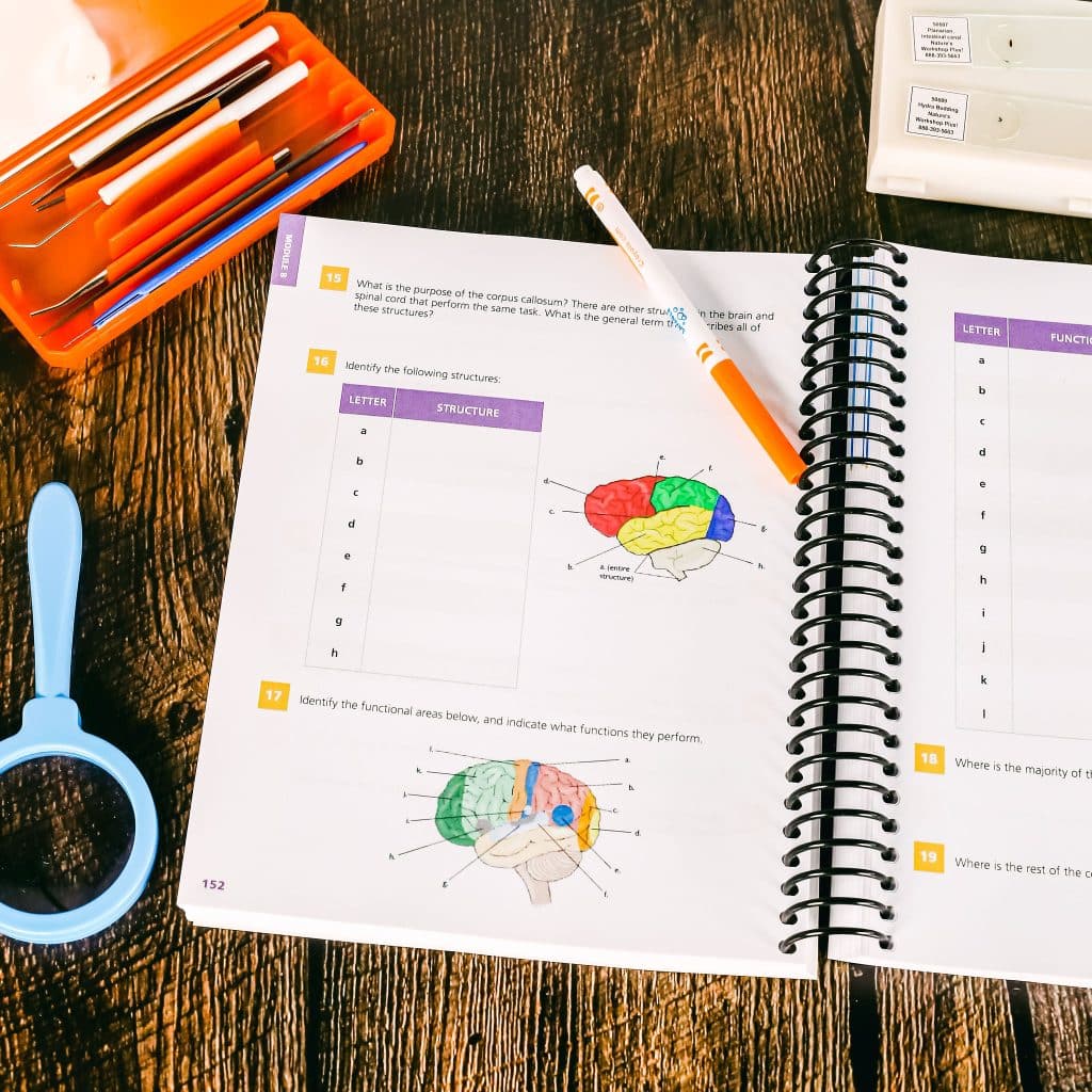 Advanced Biology Student Notebook - Apologia