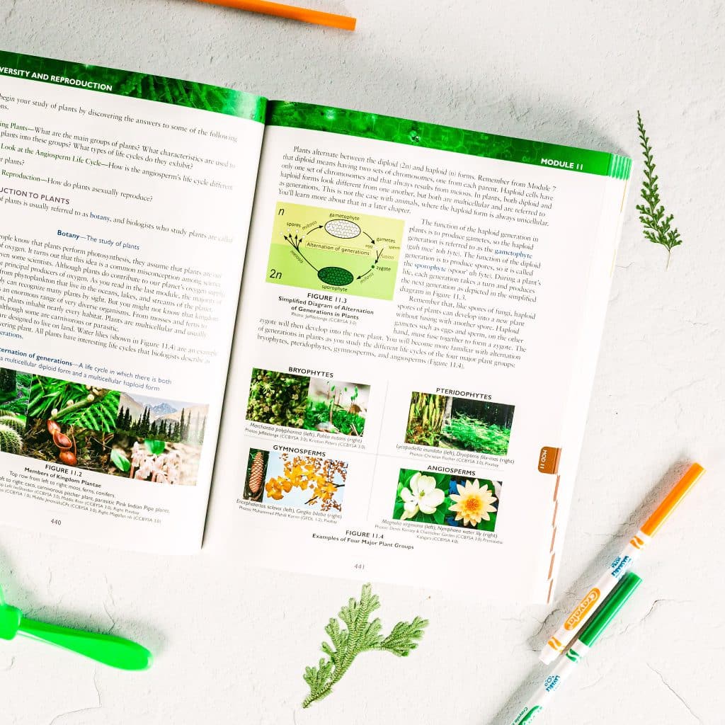 Biology Textbook - Apologia