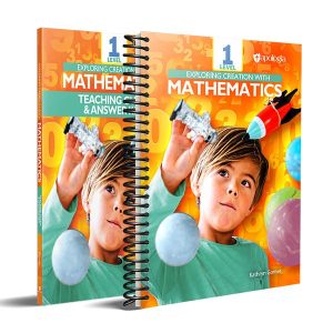 Homeschool Elementary Math Curriculum