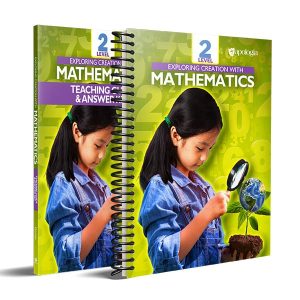 Homeschool Elementary Math Curriculum