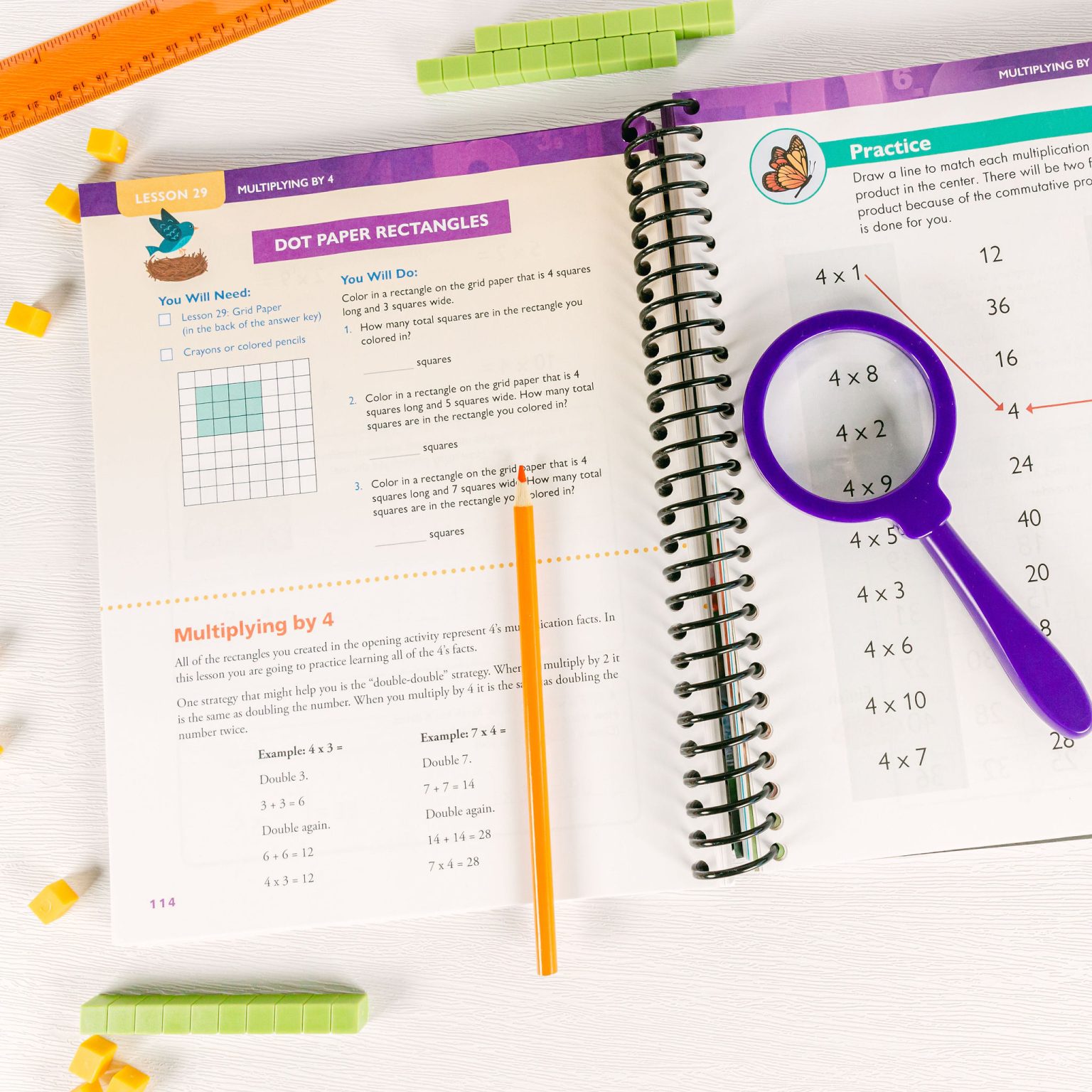 Mathematics Level 3 Student Text and Workbook - Apologia