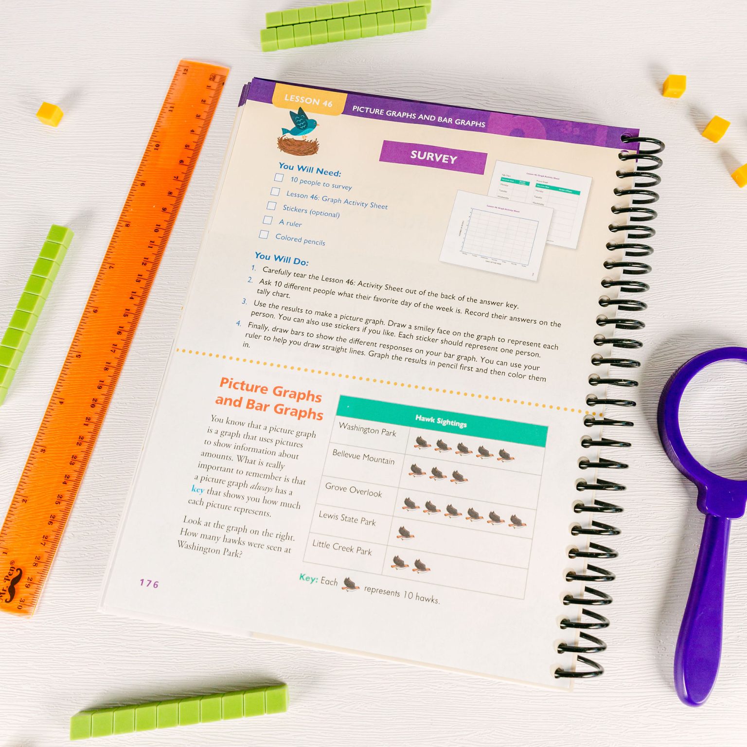 Mathematics Level 3 Student Text and Workbook - Apologia