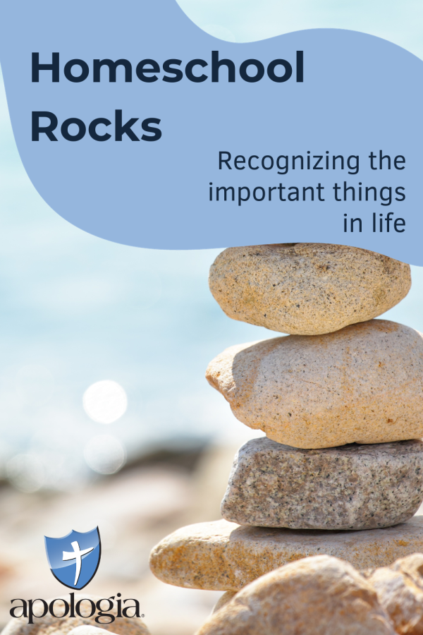 Homeschool Rocks - Apologia