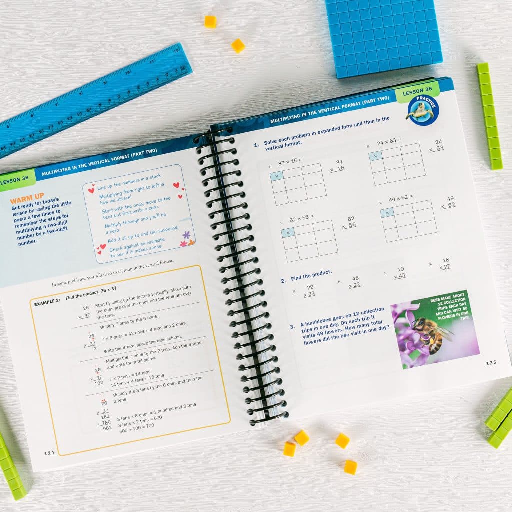 Mathematics Level 4 Student Text and Workbook - Apologia