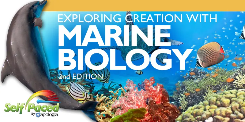 Self-Paced Homeschool Courses - Apologia