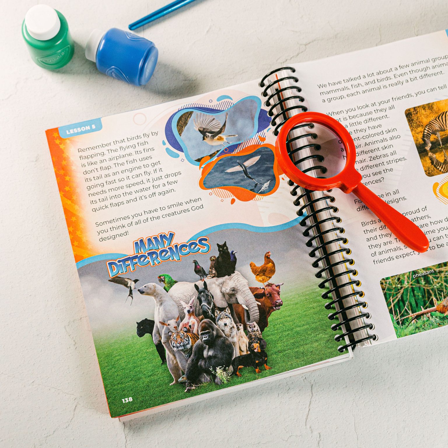 Preschool Science: Exploring Creation Together - Apologia