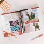 Mathematics Level 5 Student Text and Workbook - Apologia