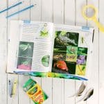 Zoology 1 Textbook - Apologia