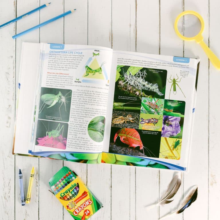 Zoology 1 Textbook - Apologia