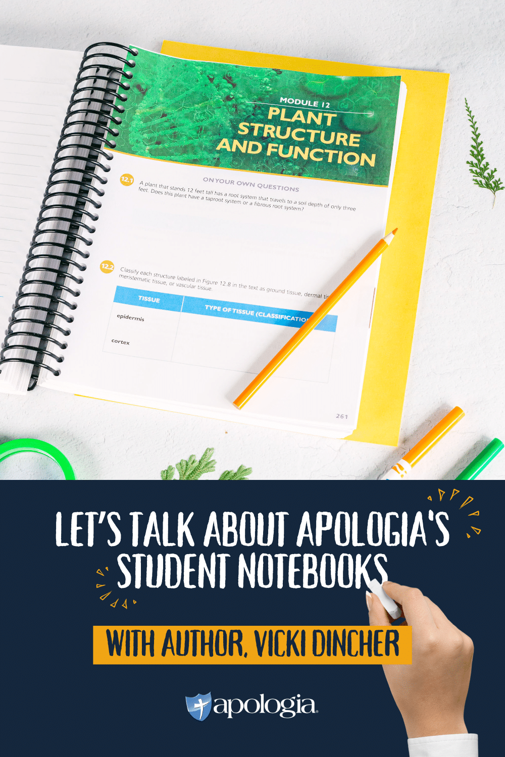 Let's Talk About the Creation of the Apologia Student Notebooks - Apologia