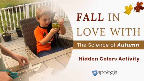 Fall in Love with the Science of Autumn: Hidden Colors Activity - Apologia