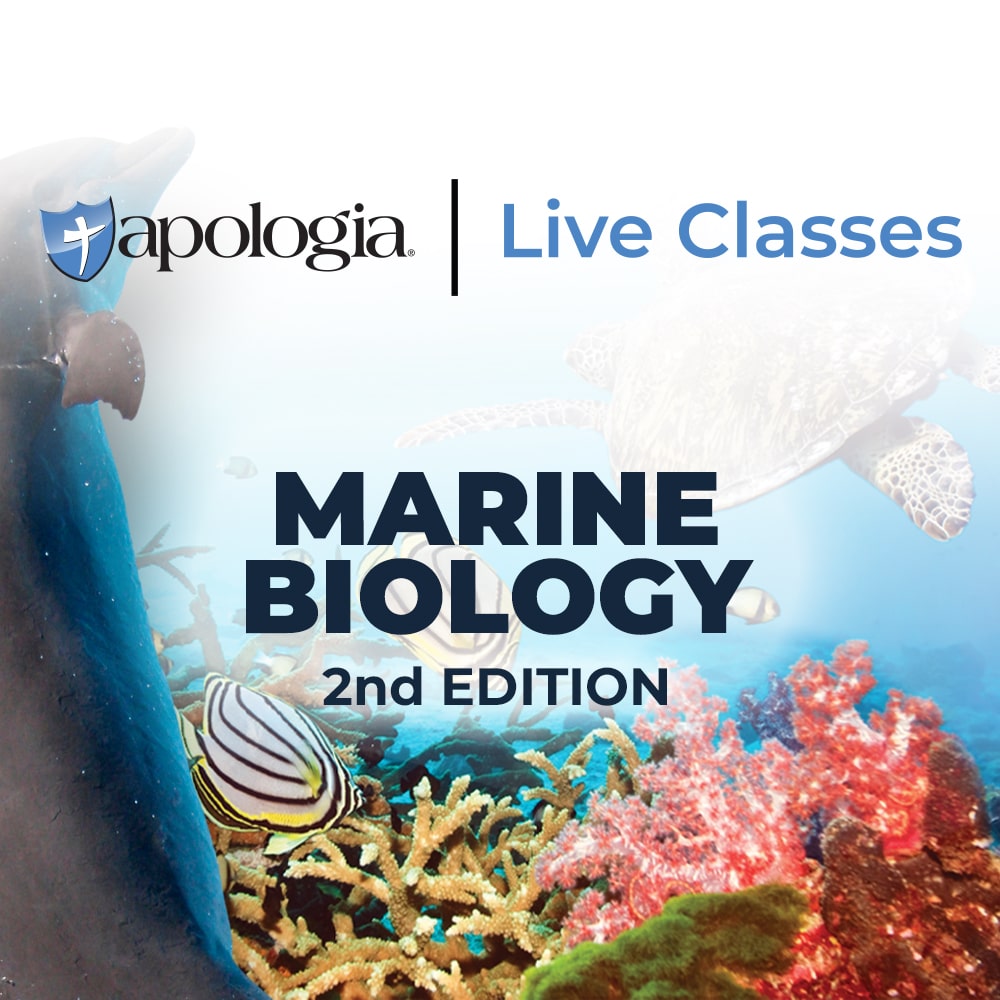 High School Marine Biology: Curriculum & Course Structure