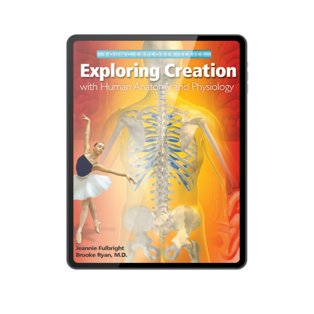 Anatomy: Homeschool Curriculum - Apologia