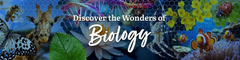 High School Biology: Homeschool Curriculum - Apologia
