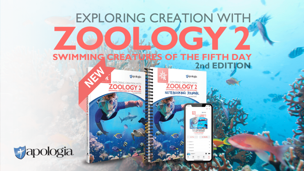 Introducing Exploring Creation with Zoology 2: Swimming Creatures of ...