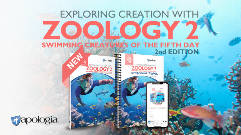 Introducing Exploring Creation with Zoology 2: Swimming Creatures of ...