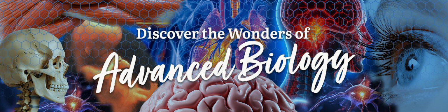 High School Advanced Biology Homeschool Curriculum - Apologia